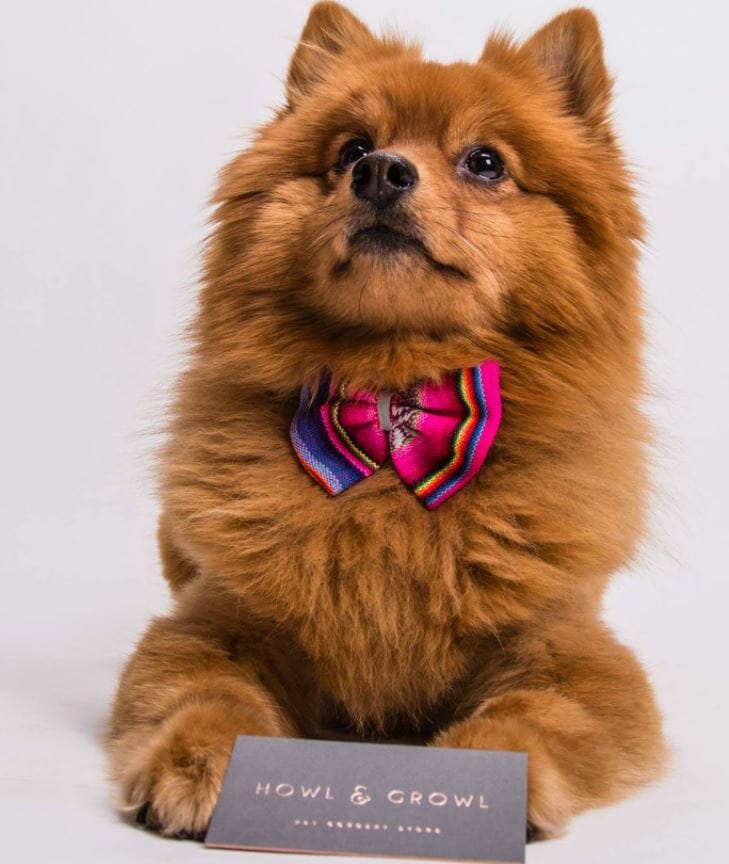 Howl & Growl - PETWITHIT